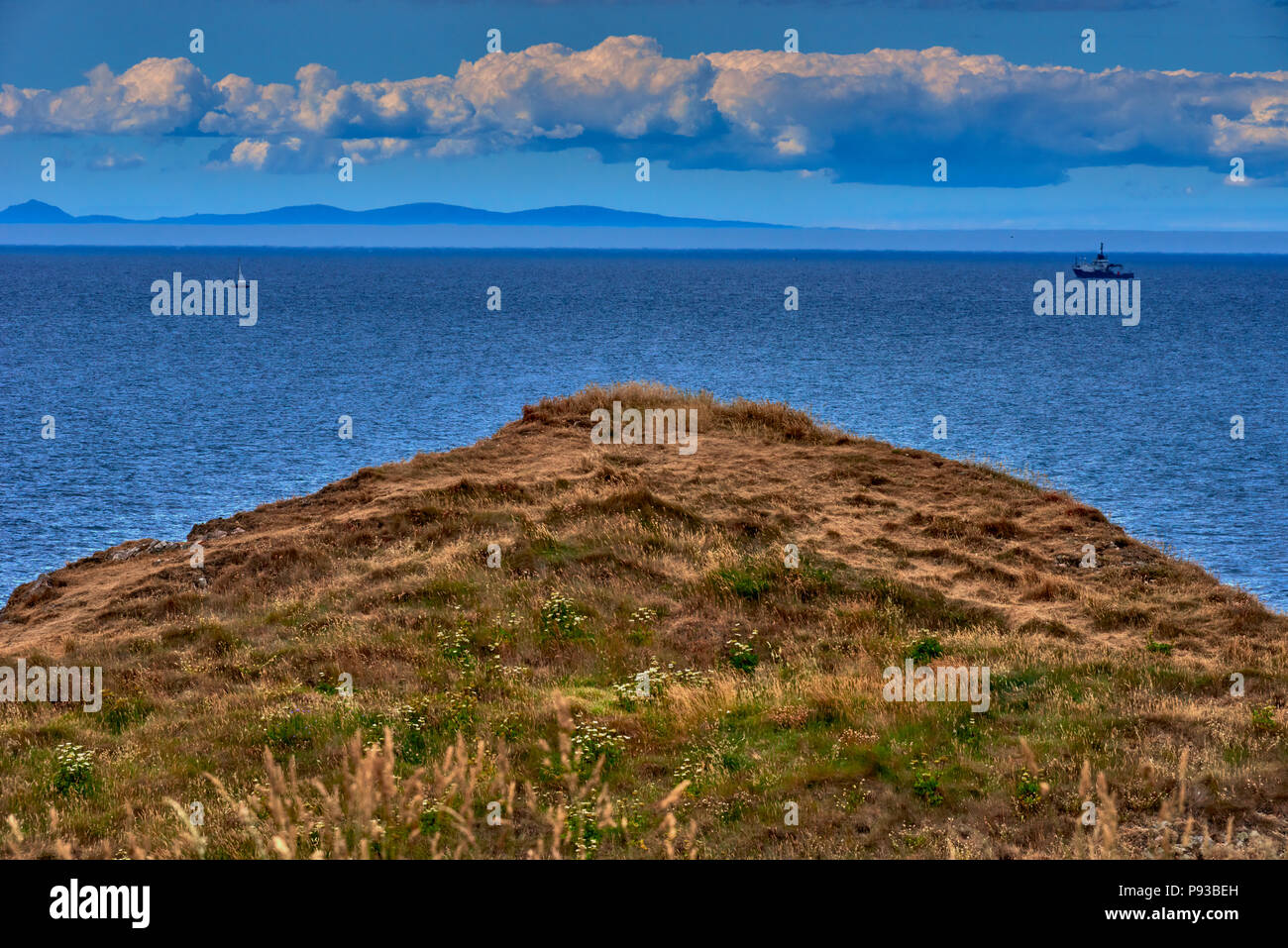 Bow Fiddle Rock (SC18 Stock Photo - Alamy