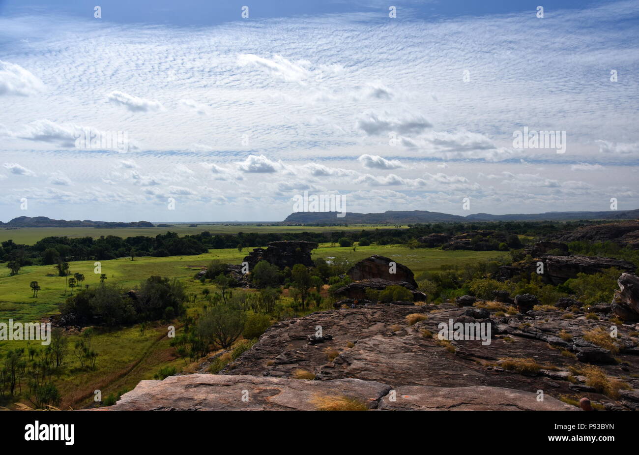 Alligator rock formation hi-res stock photography and images - Alamy
