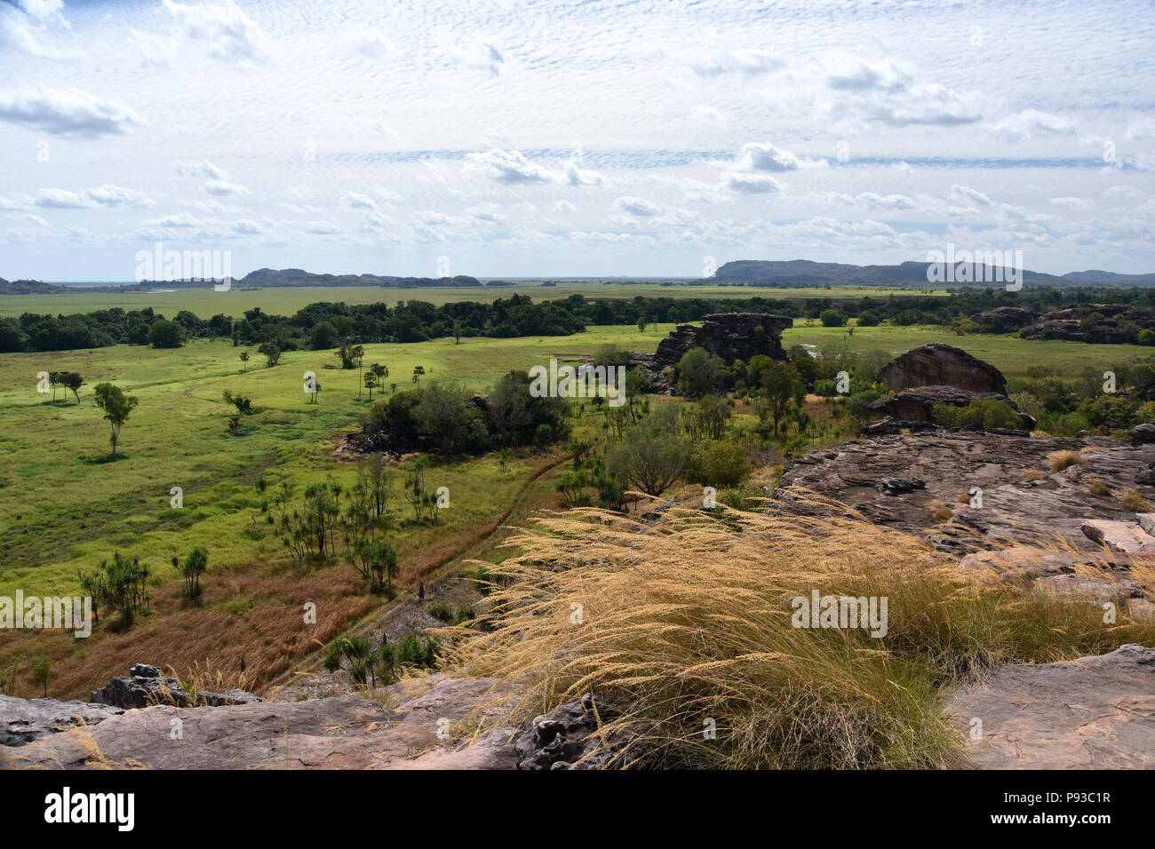 Ubirr Art Site and Lookout. Landscape of the Kakadu National Park at Ubirr. Ubirr East Alligator ...