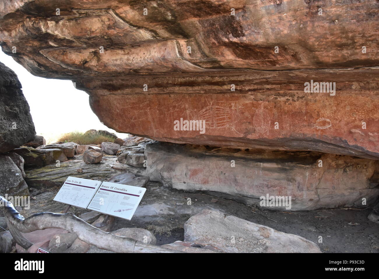 Alligator rock formation hi-res stock photography and images - Alamy
