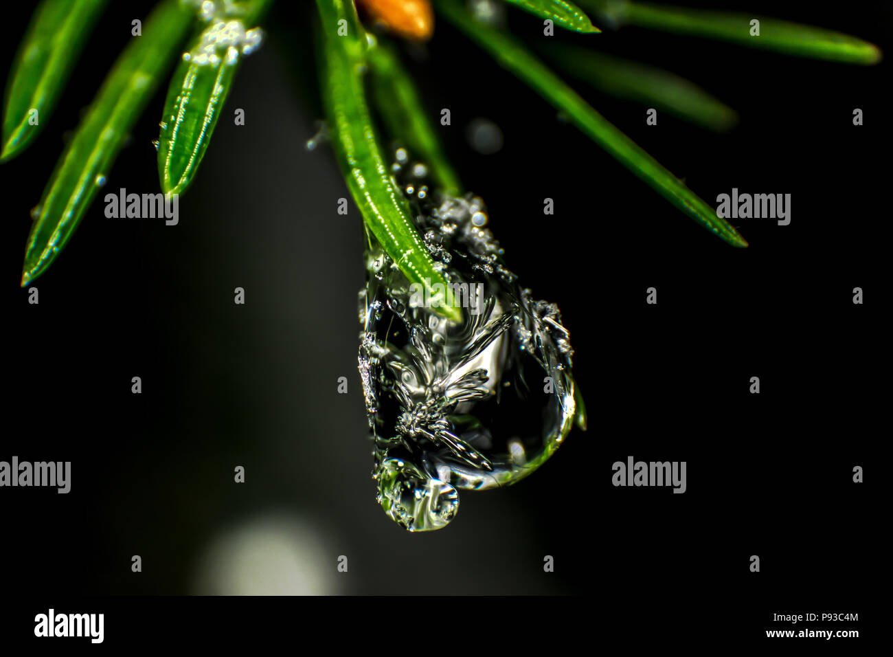 Frozen water drops hi-res stock photography and images - Alamy