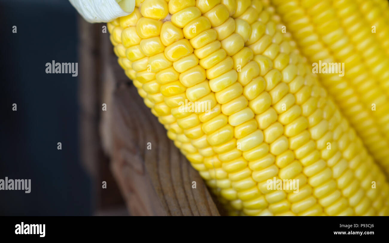 Close up photo of Grains ripe corn Stock Photo - Alamy