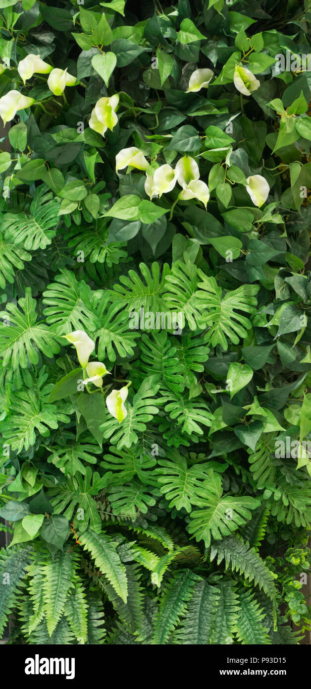 Group of green leaf background in Vertical rectangle Stock Photo - Alamy