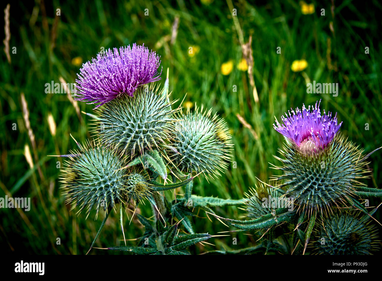 Durness Scotland Village High Resolution Stock Photography and Images ...