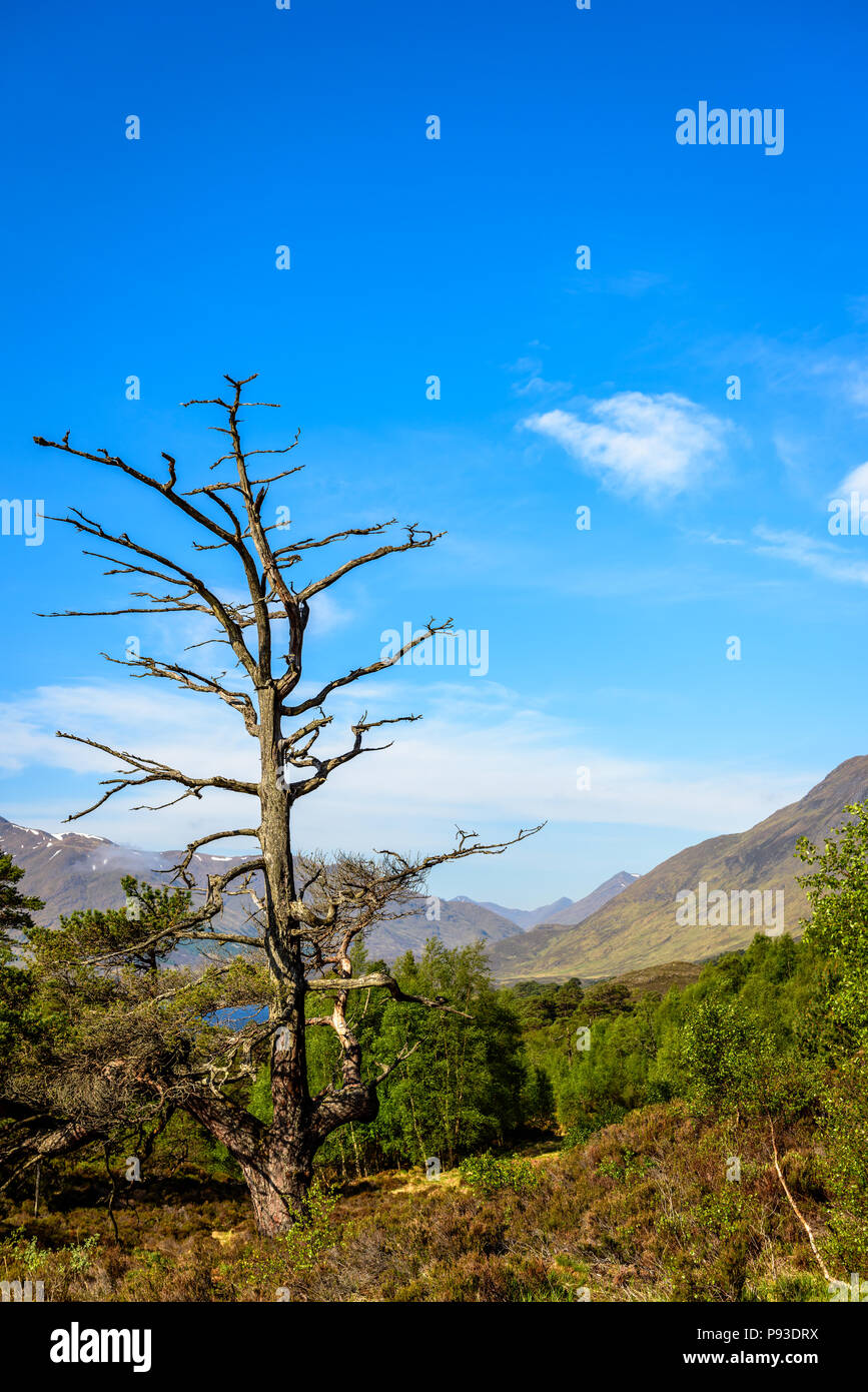 Scottish landscape. mountains and beautiful sky above Scotland Stock ...
