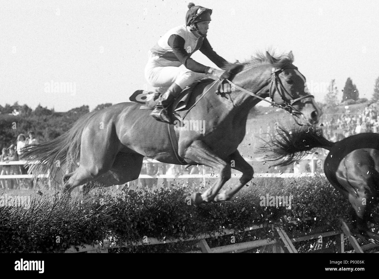 Bad Harzburg, Baal with Peter Gehm over the hurdle Stock Photo - Alamy
