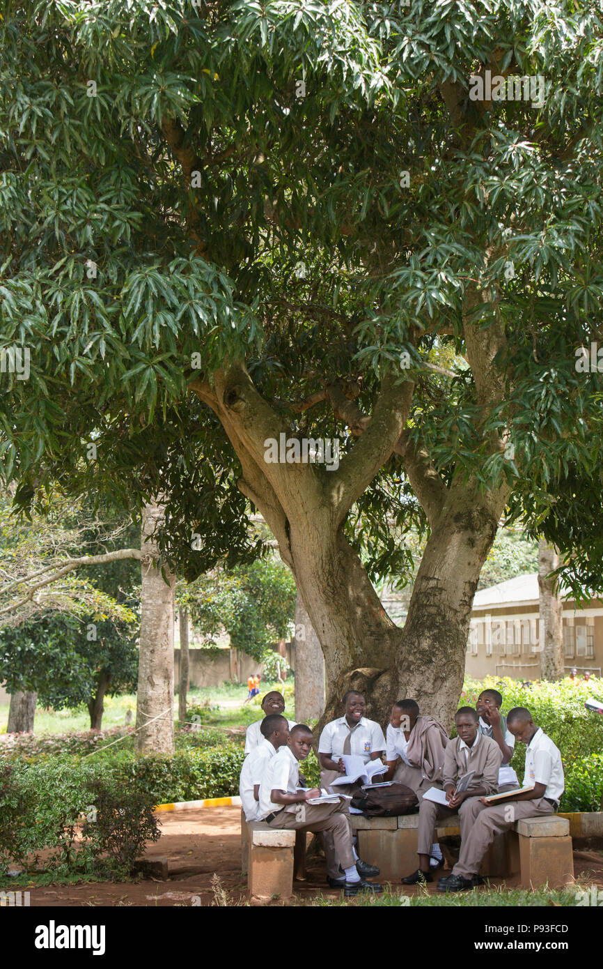 Bombo, Uganda - Education at Don Bosco Vocational Training Center Bombo ...