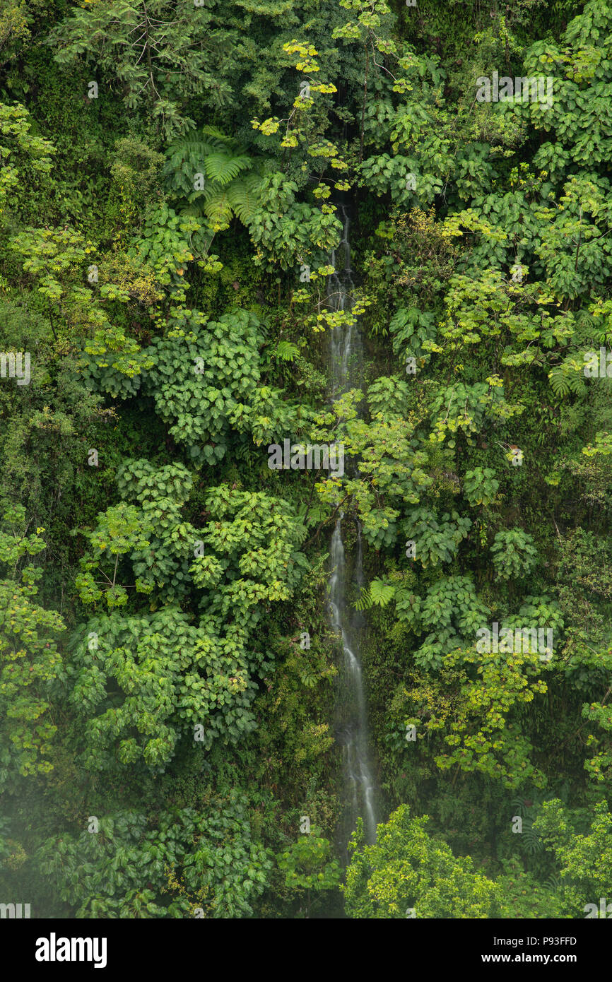 Tropical island coastal waterfall hi-res stock photography and images ...