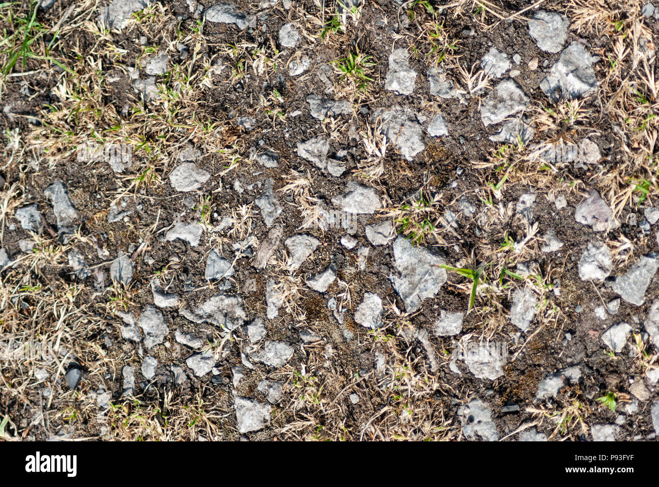 Path texture hi-res stock photography and images - Alamy