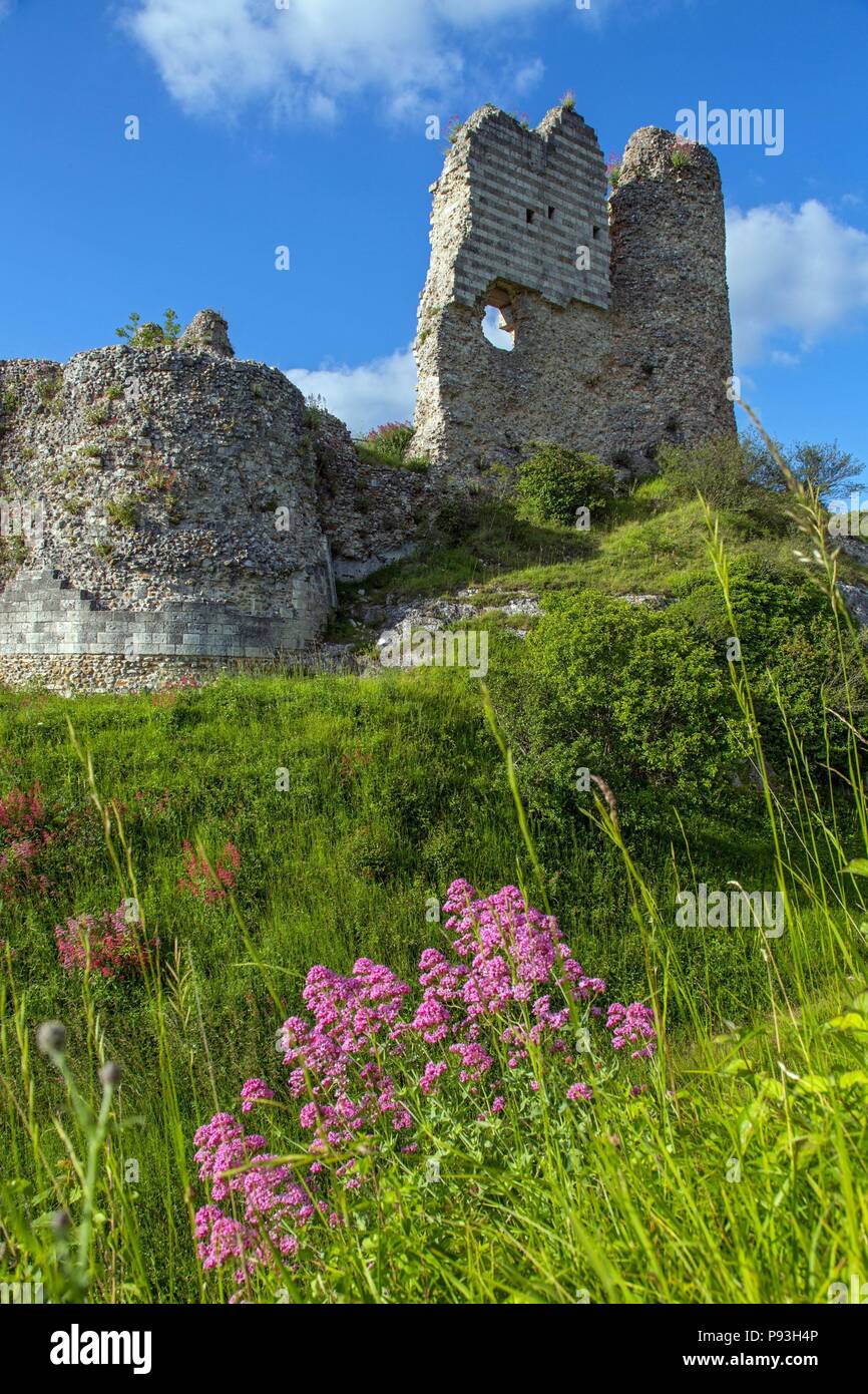 MEDIEVAL CASTLE OF CHATEAU GAILLARD, ILLUSTRATION OF THE EURE, UPPER ...