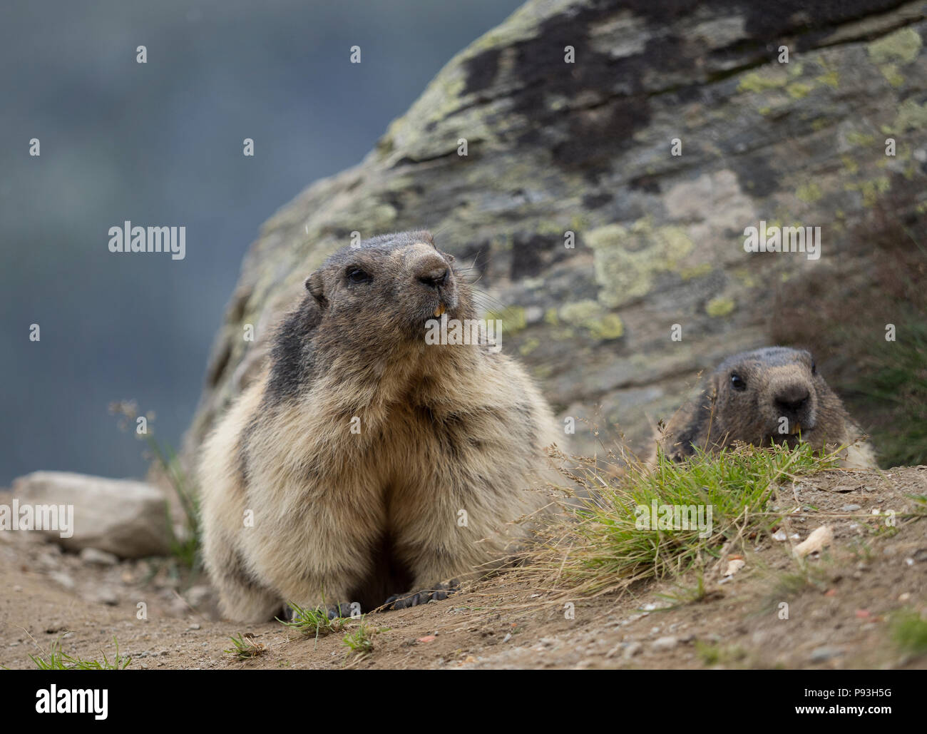 Spielboden switzerland hi-res stock photography and images - Alamy