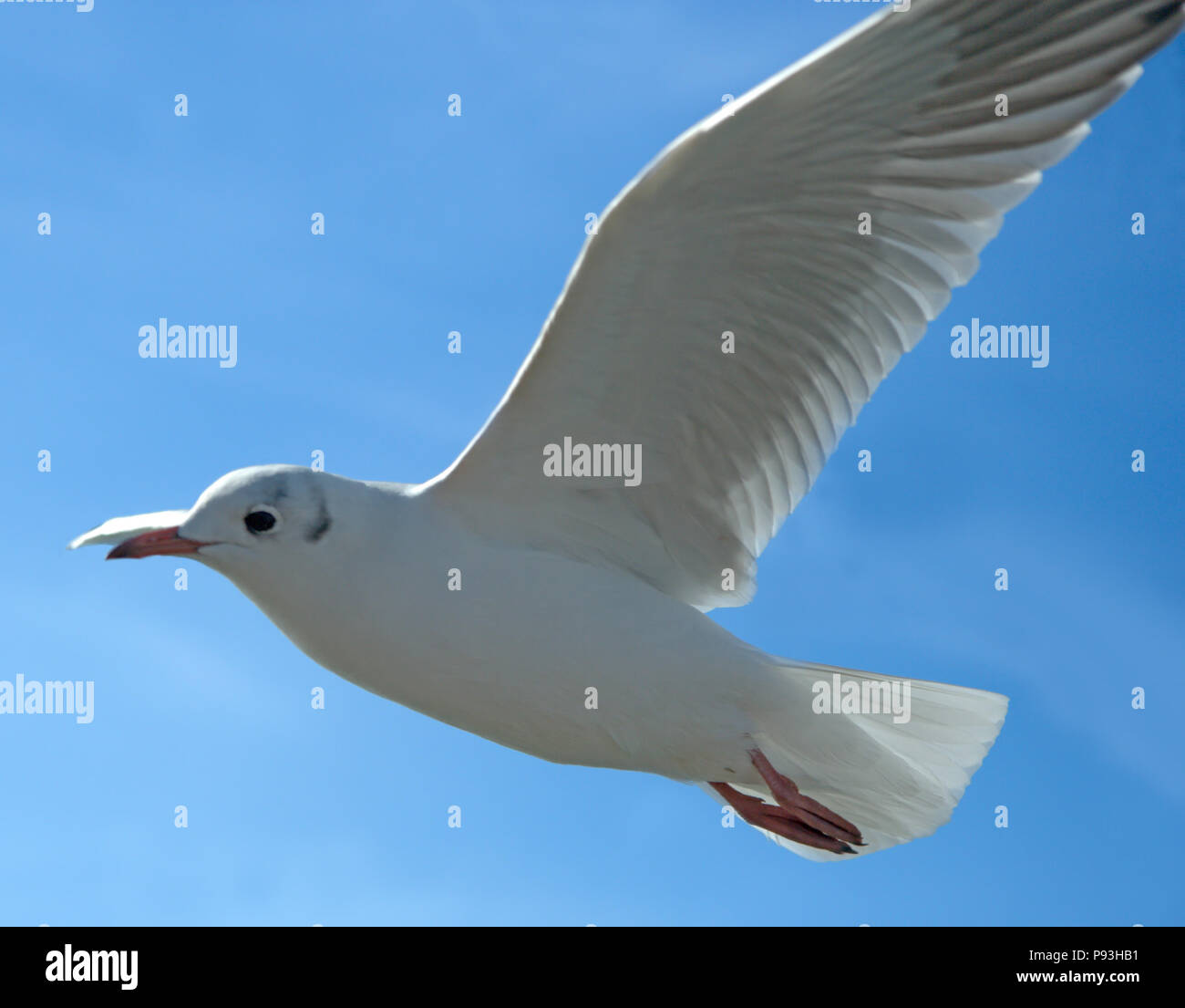 Rocket soaring up sky hi-res stock photography and images - Alamy