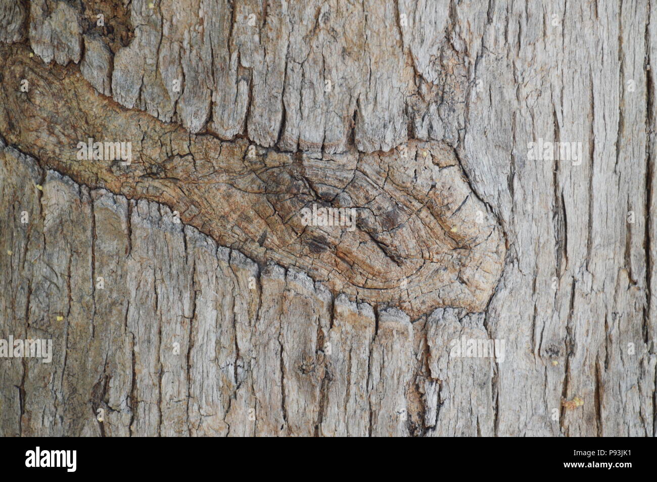 wood texture and background in garden Stock Photo - Alamy