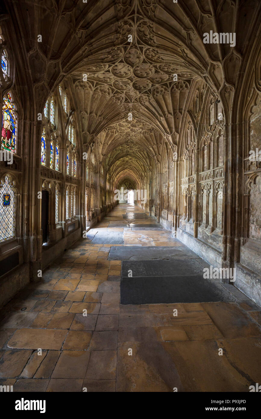 The Cloisters at Gloucester Cathedral, Gloucester, England Stock Photo ...