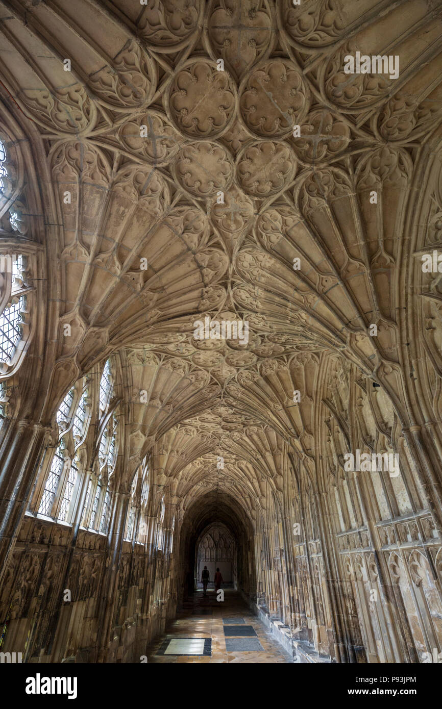 The vaulted ceiling of the Cloisters at Gloucester Cathedral ...