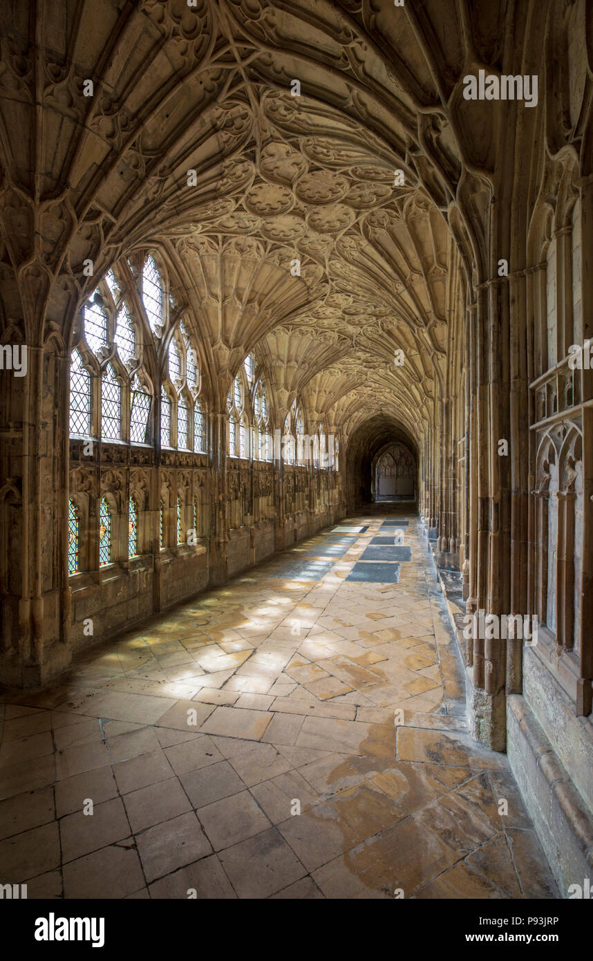The vaulted ceiling of the Cloisters at Gloucester Cathedral ...