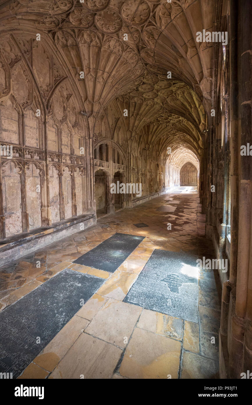 The vaulted ceiling and corridor of the Cloisters at Gloucester Cathedral, Gloucester, England ...