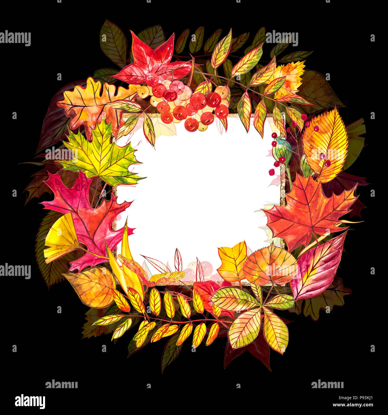 Autumn template background. Seasonal illustrations.web banner template ...