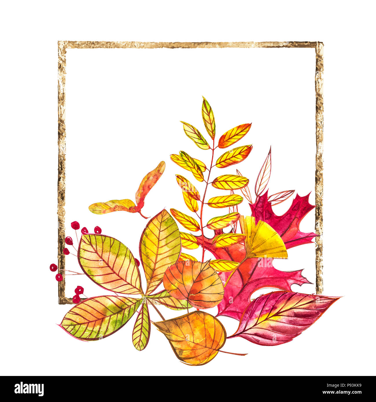 Autumn composition. Illustrations made of autumn berries and leaves on ...