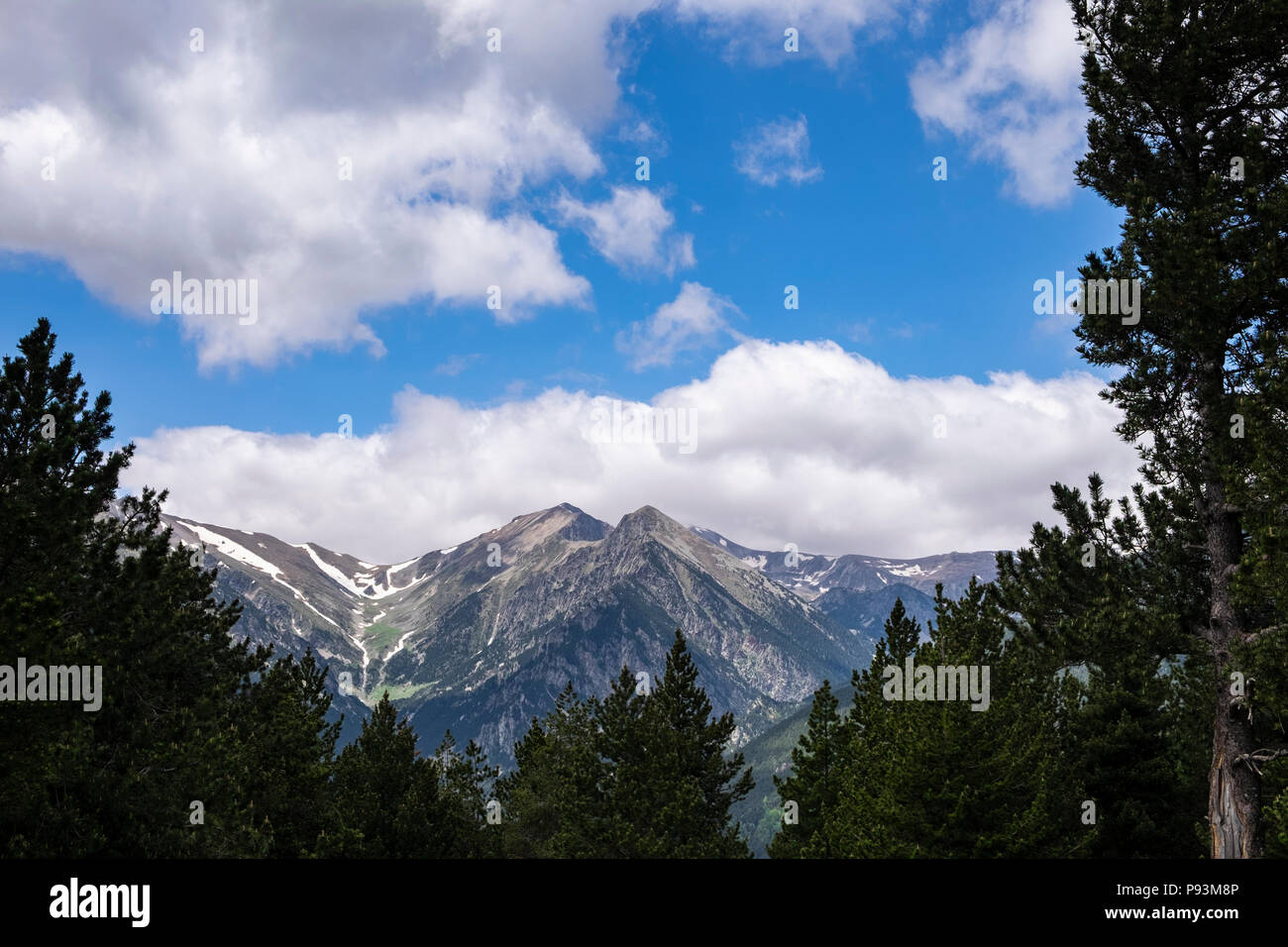 Catalonian forests hi-res stock photography and images - Alamy