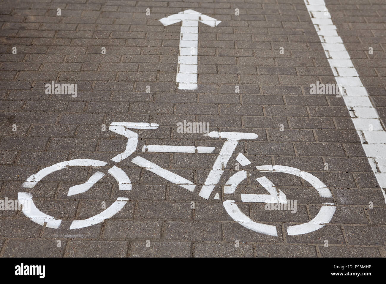 Bicycle road sign and arrow direction on cycling path painted on ...