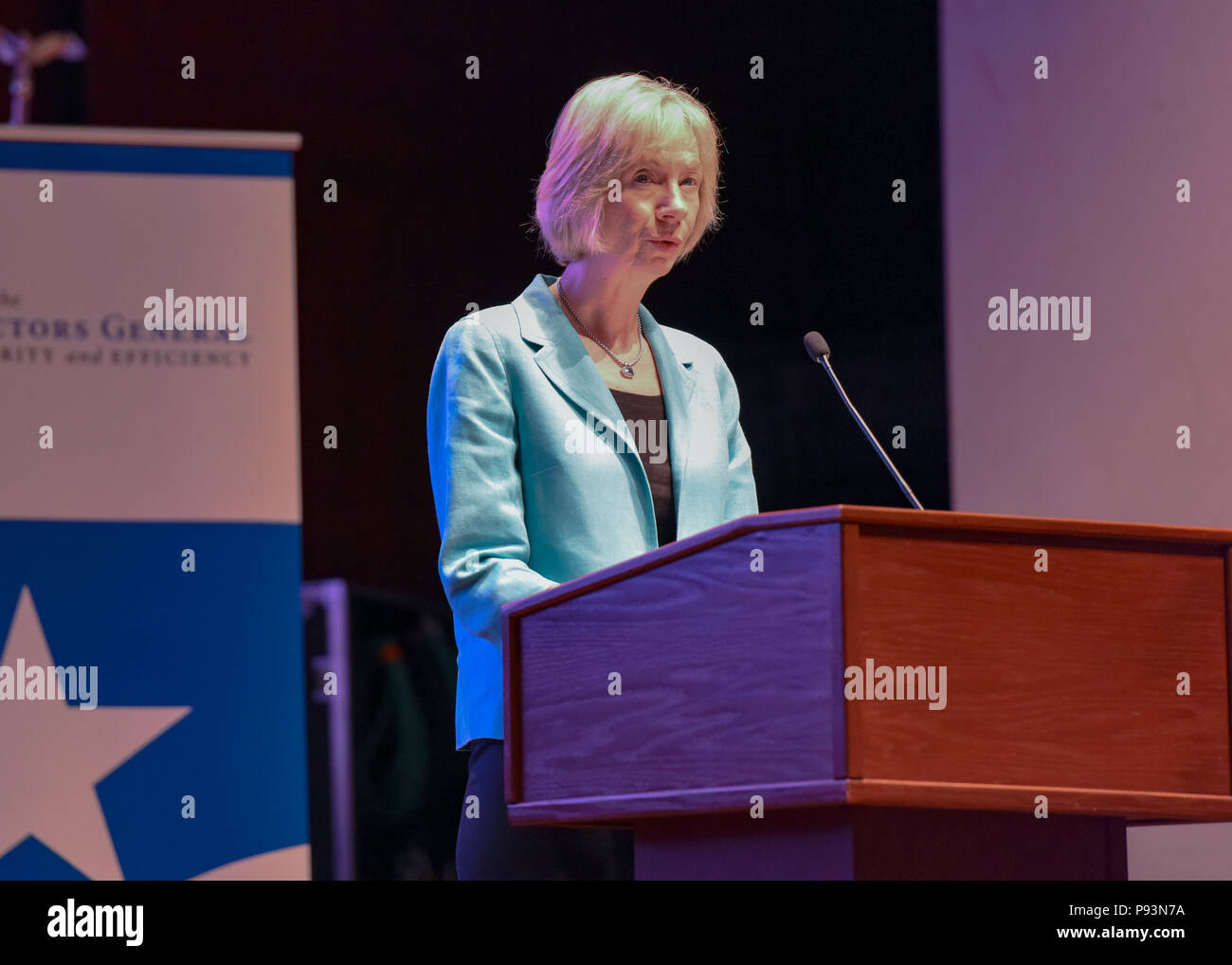 The Council of the Inspectors General on Integrity and Efficiency ...