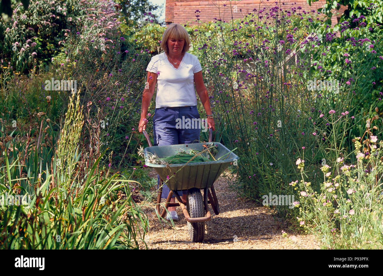 Woman with a wheelbarrow on path in country garden FOR EDITORIAL USE ...