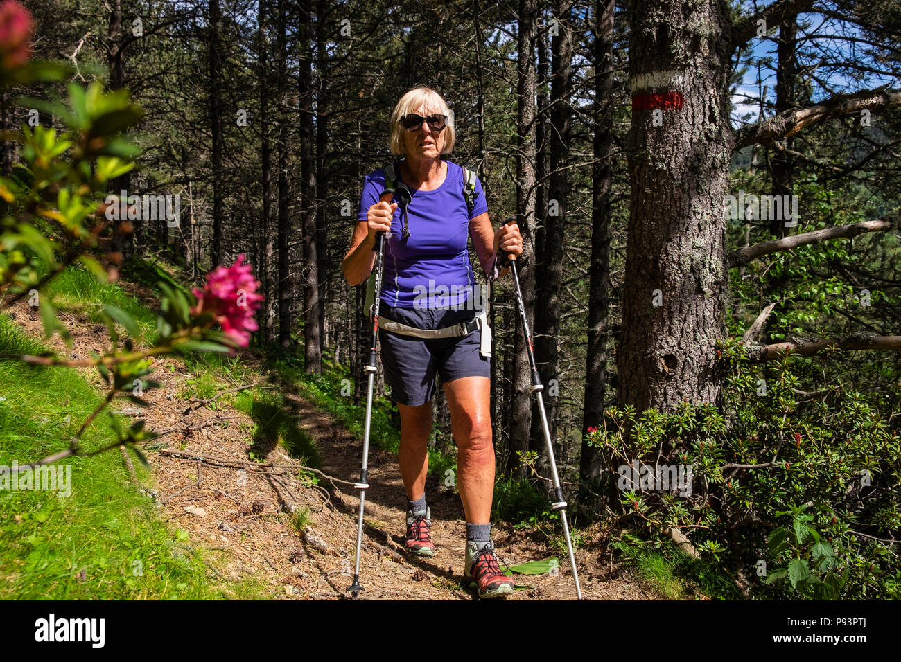 Long distance walks hi-res stock photography and images - Alamy