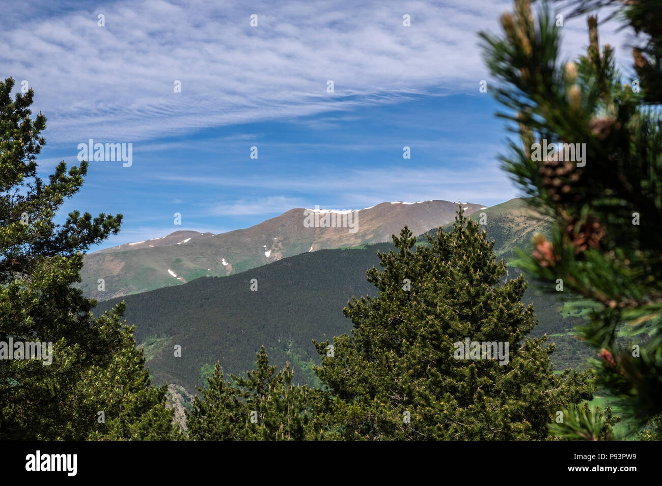 Mountain pines in the spanish pyrenees hi-res stock photography and ...