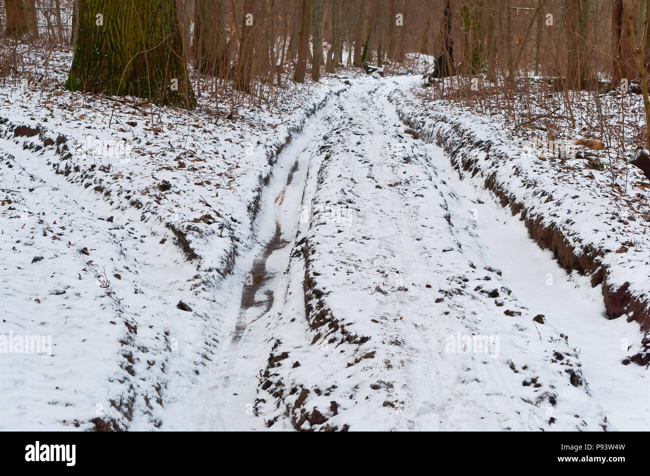 Dirty track road hi-res stock photography and images - Alamy