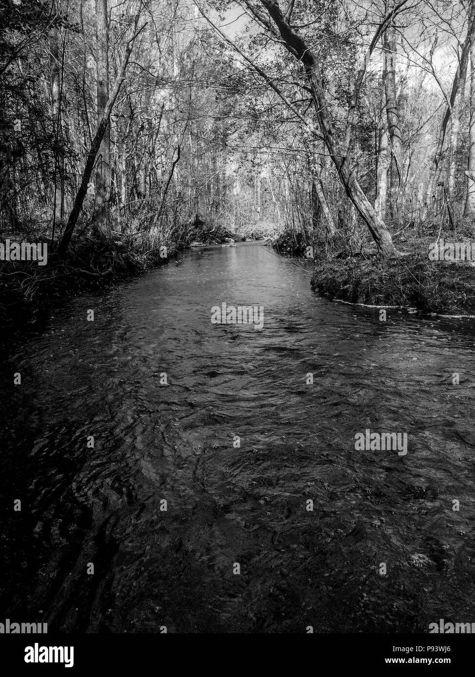 grist mill country grain corn wheat flour rustic black white Stock ...