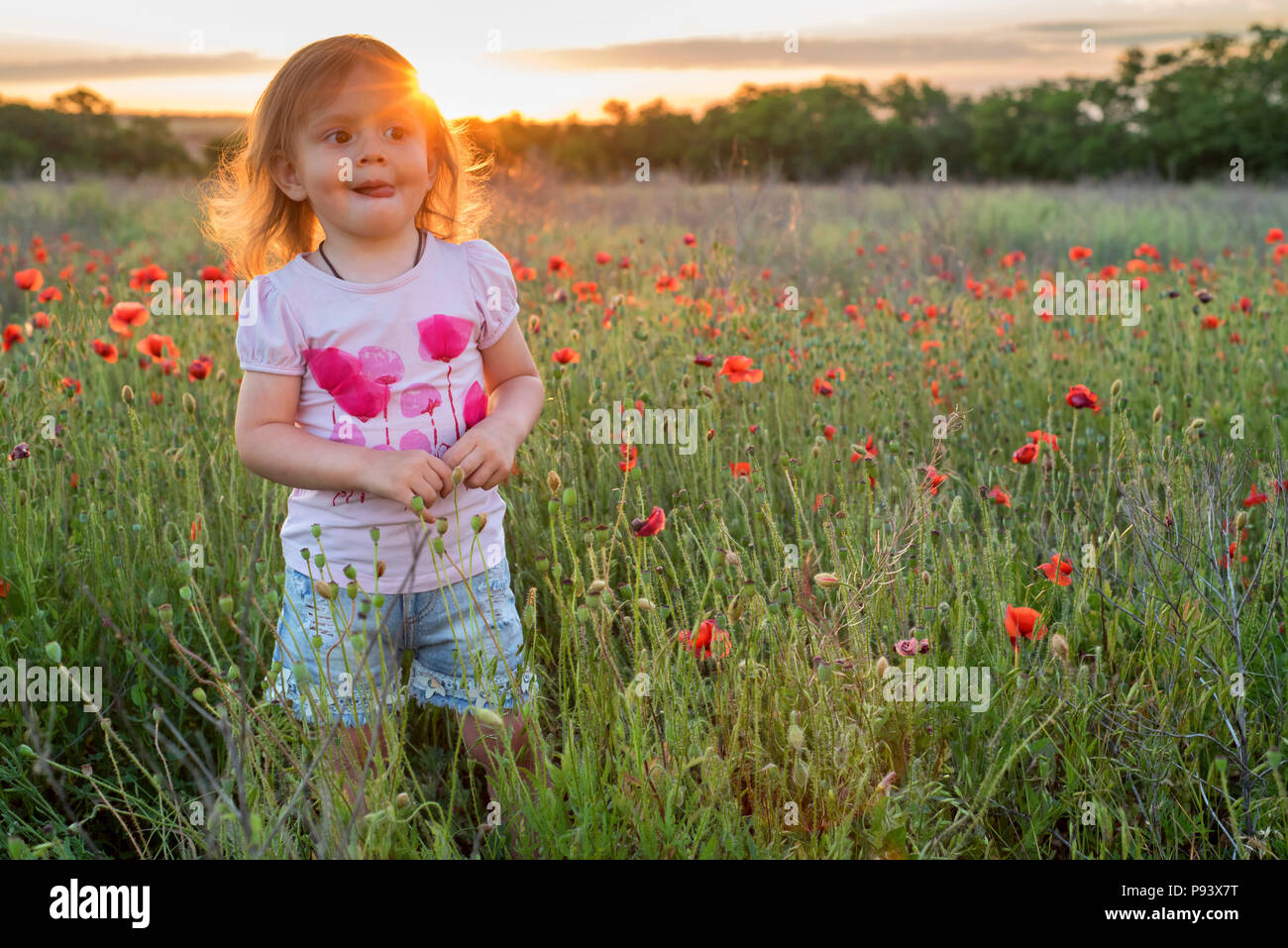 Cute child girl in poppy field Stock Photo - Alamy
