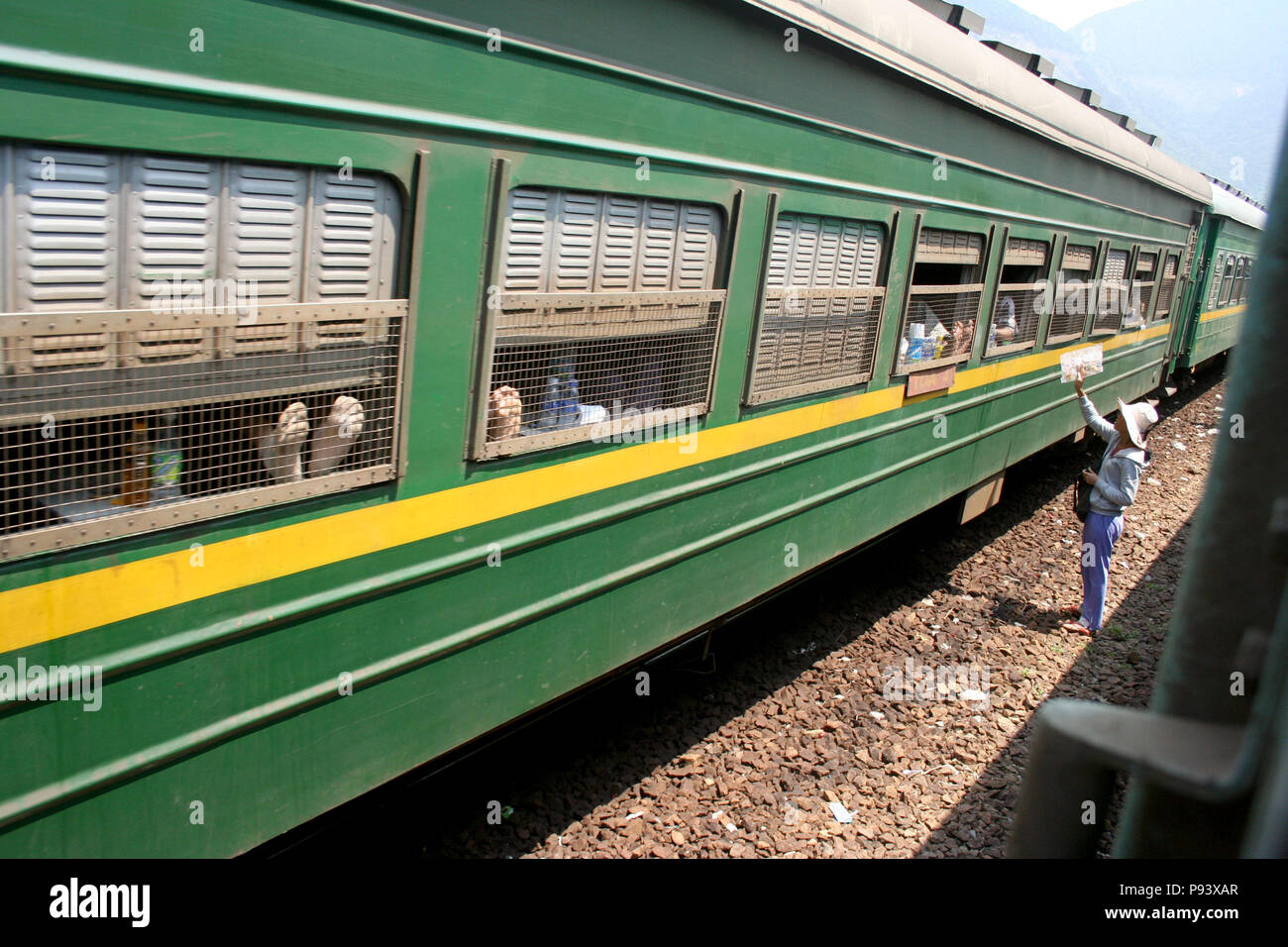 Vietnamese Train Arriving in Hue Station with Vietnamese Lady in ...