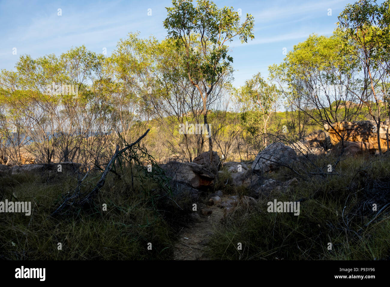 The paths to the Gwion Gwion Aboriginal art caves at Vansittart Bay and ...