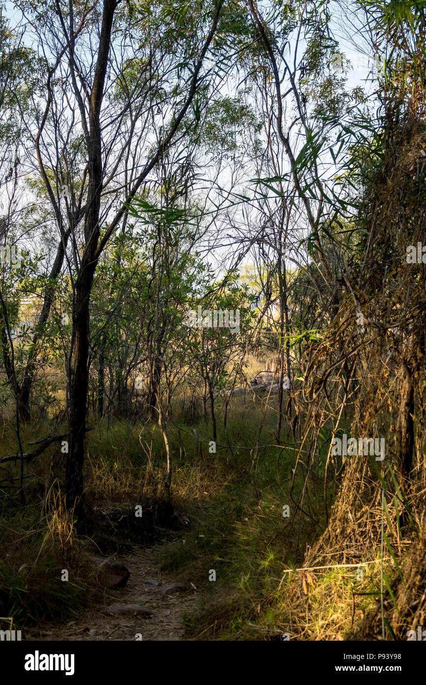 The paths to the Gwion Gwion Aboriginal art caves at Vansittart Bay and ...