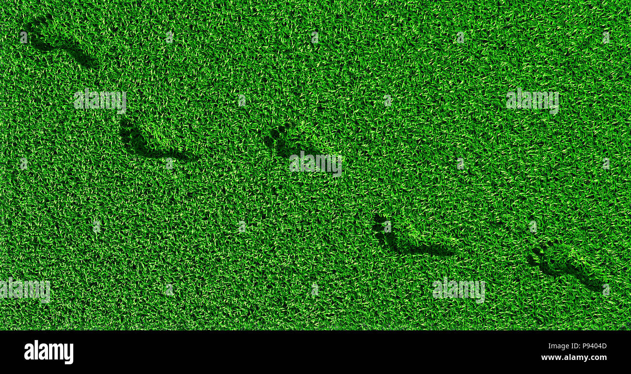 Green eco foot print icon hi-res stock photography and images - Alamy