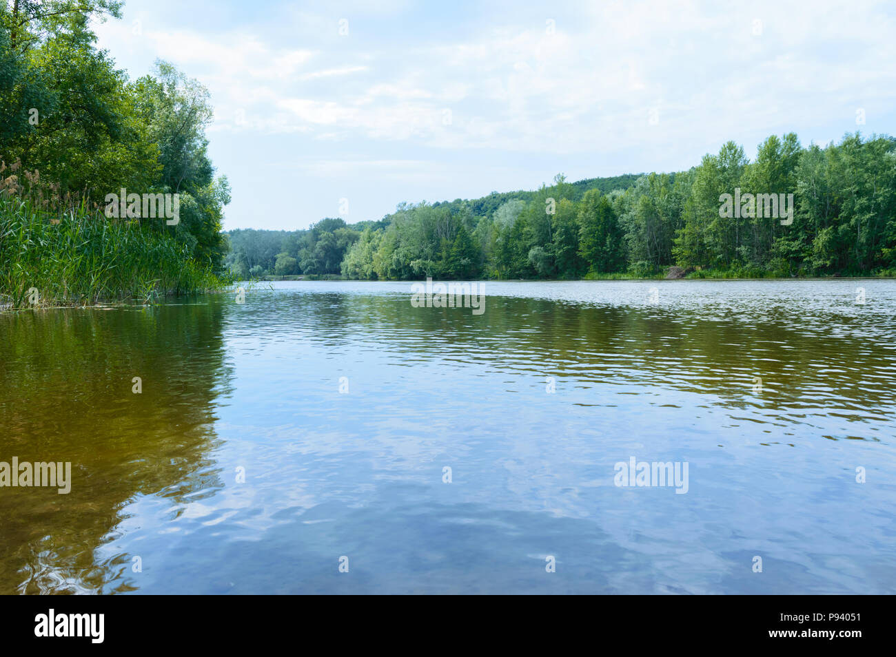 River and forest. Beautiful summer landscape. Camping Stock Photo - Alamy