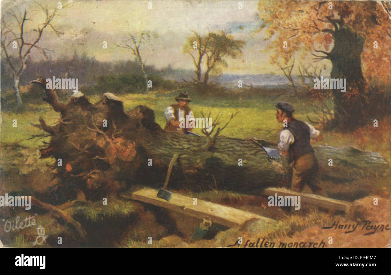 Fallen monarch hi-res stock photography and images - Alamy