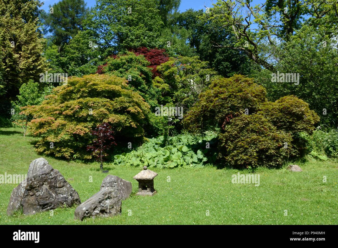Ornamental Gardens at Bryngarw Country Park Garw Valley Bridgend ...