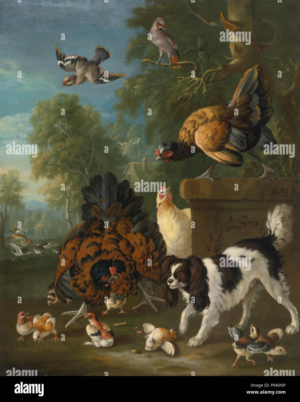A family of chickens fending off a spaniel in a landscape Stock Photo ...