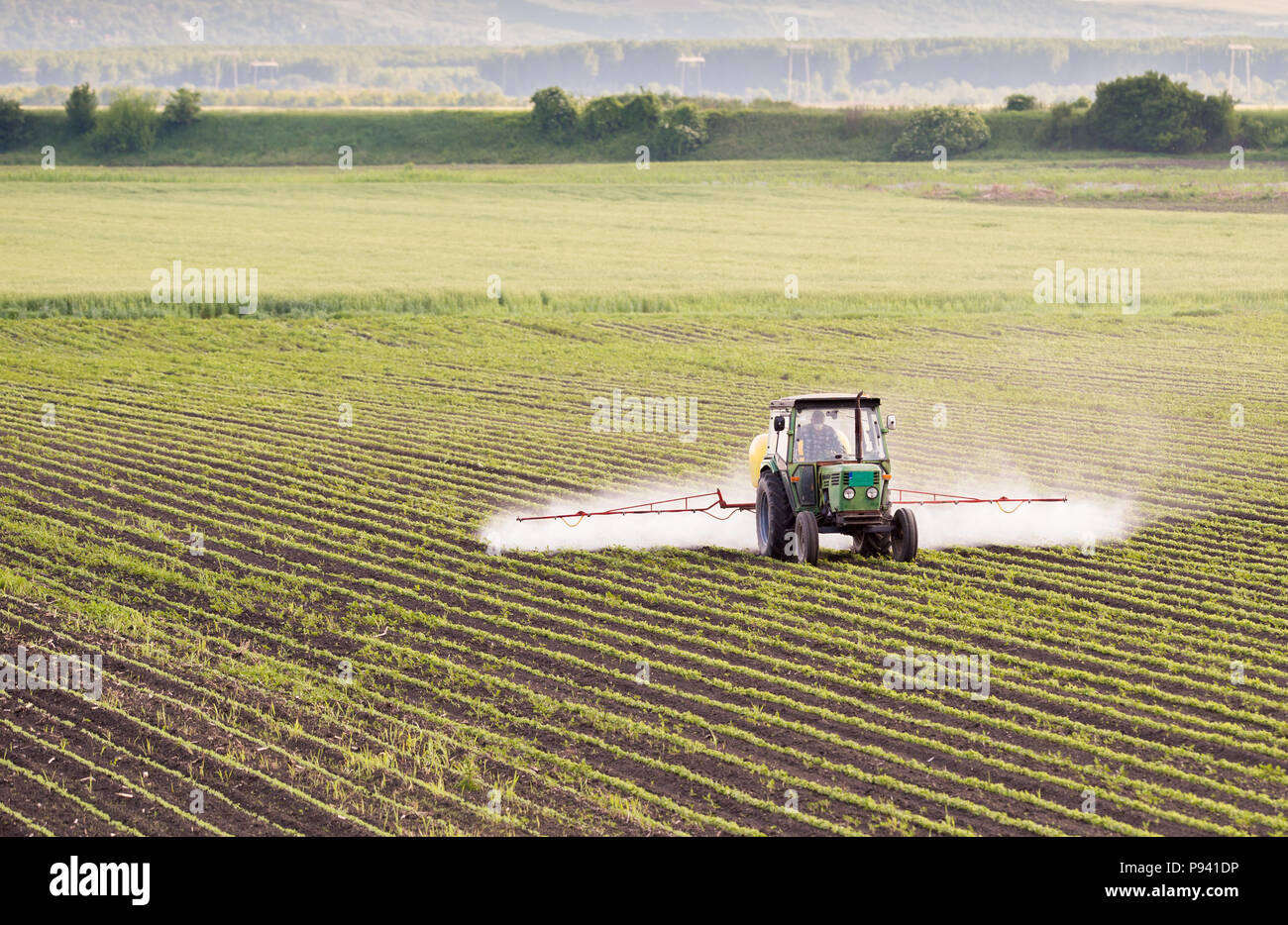 Tractor spraying soybean field at spring Stock Photo - Alamy