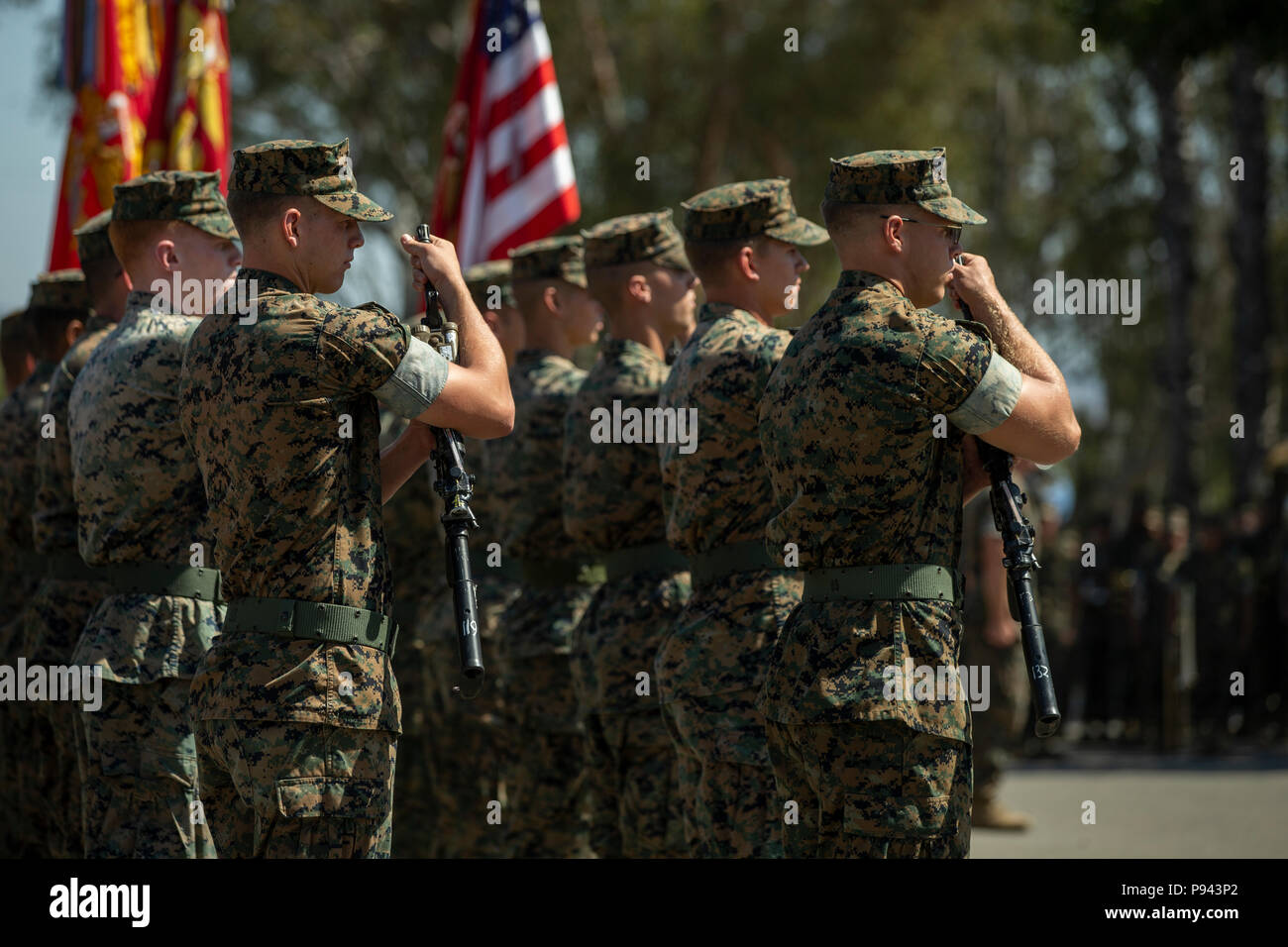 U.S. Marines with the 1st Marine Division stand in formation during a ...