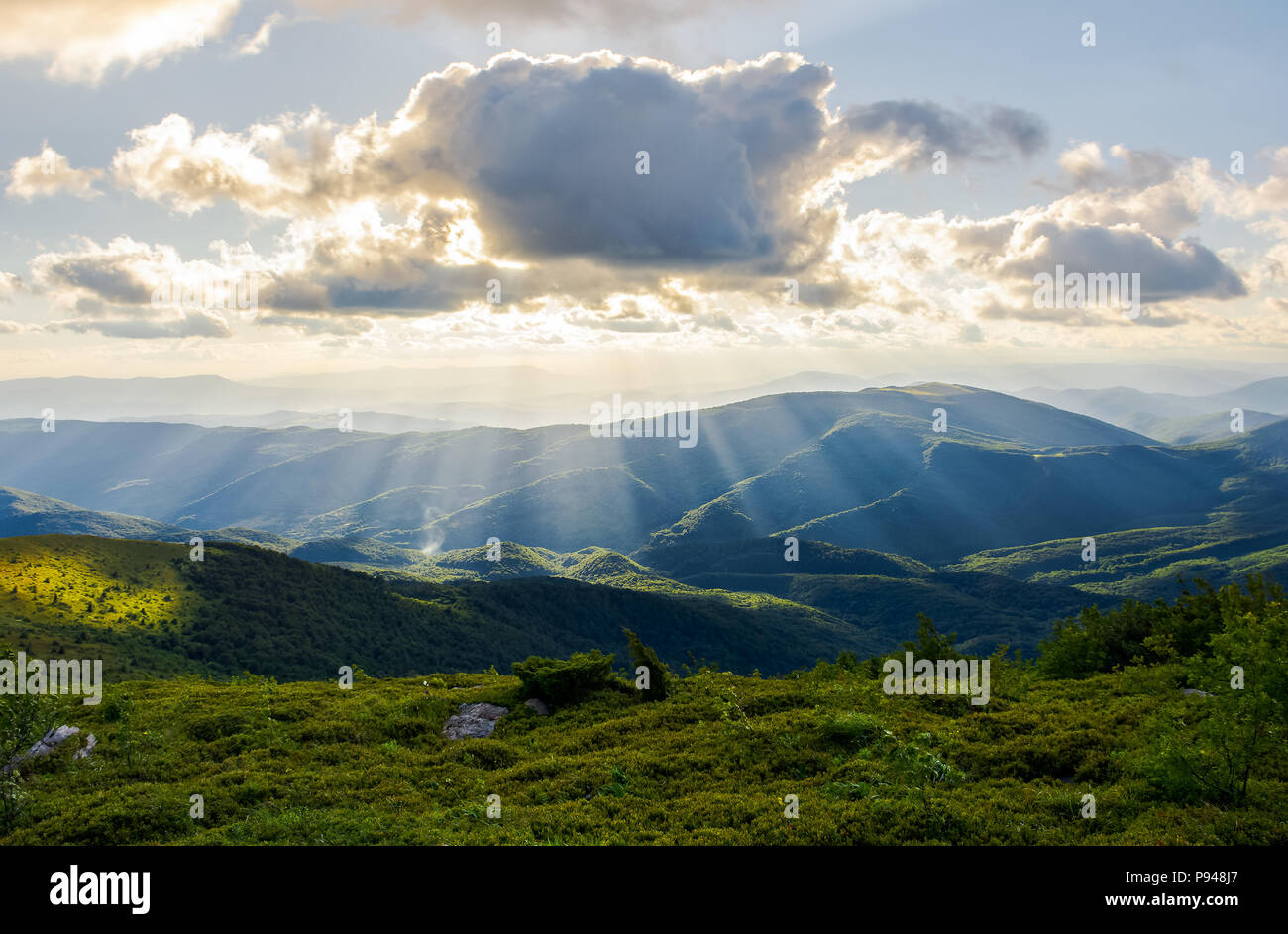 Lovely sun ray hi-res stock photography and images - Alamy