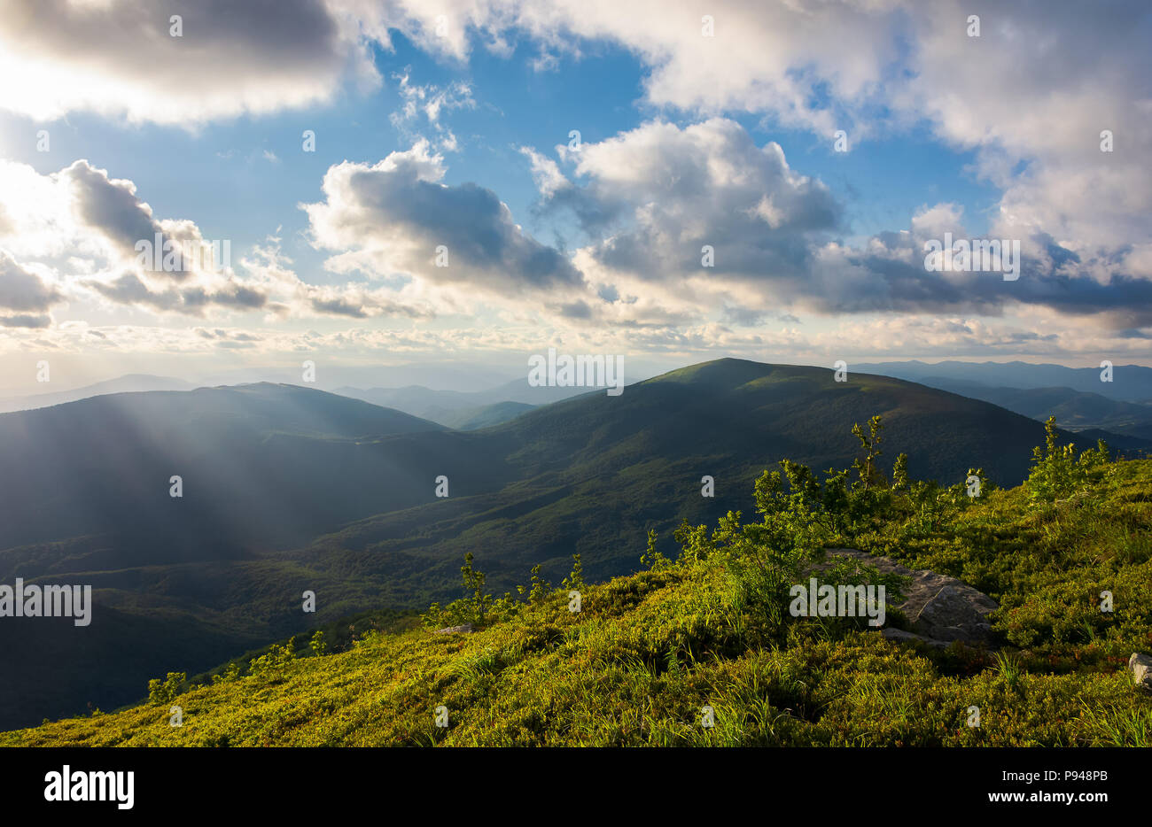Exciting and interesting hi-res stock photography and images - Alamy