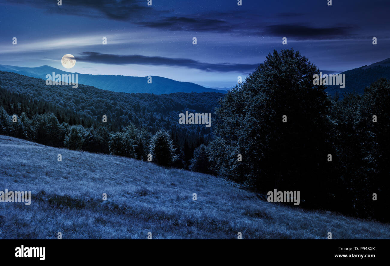 meadow on the forested hill in summer mountain landscape at night in ...