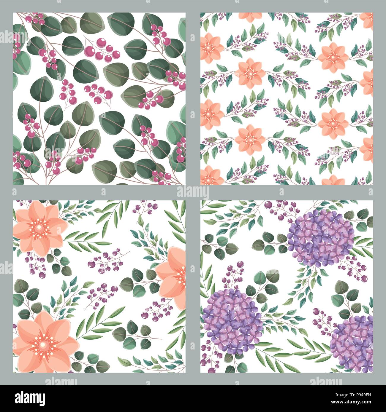 floral patterns decoration flowers natural set vector illustration ...