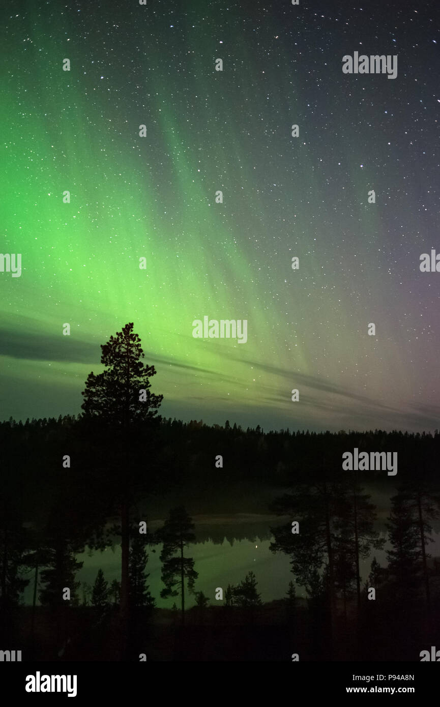 Aurora borealis and boreal forest hi-res stock photography and images ...