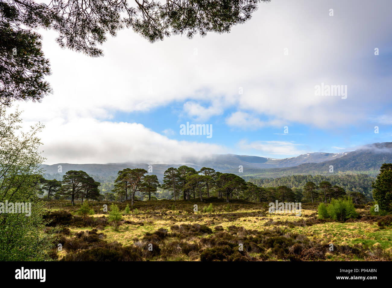 Scottish landscape. mountains and beautiful sky above Scotland Stock ...
