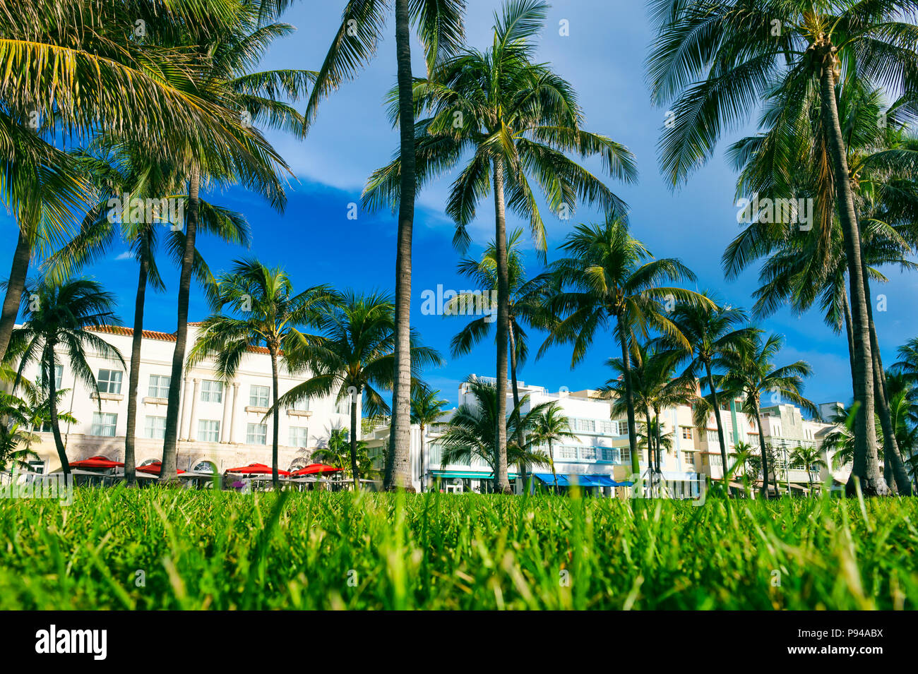 Bright scenic morning view of Lummus Park palm trees and Ocean Drive ...