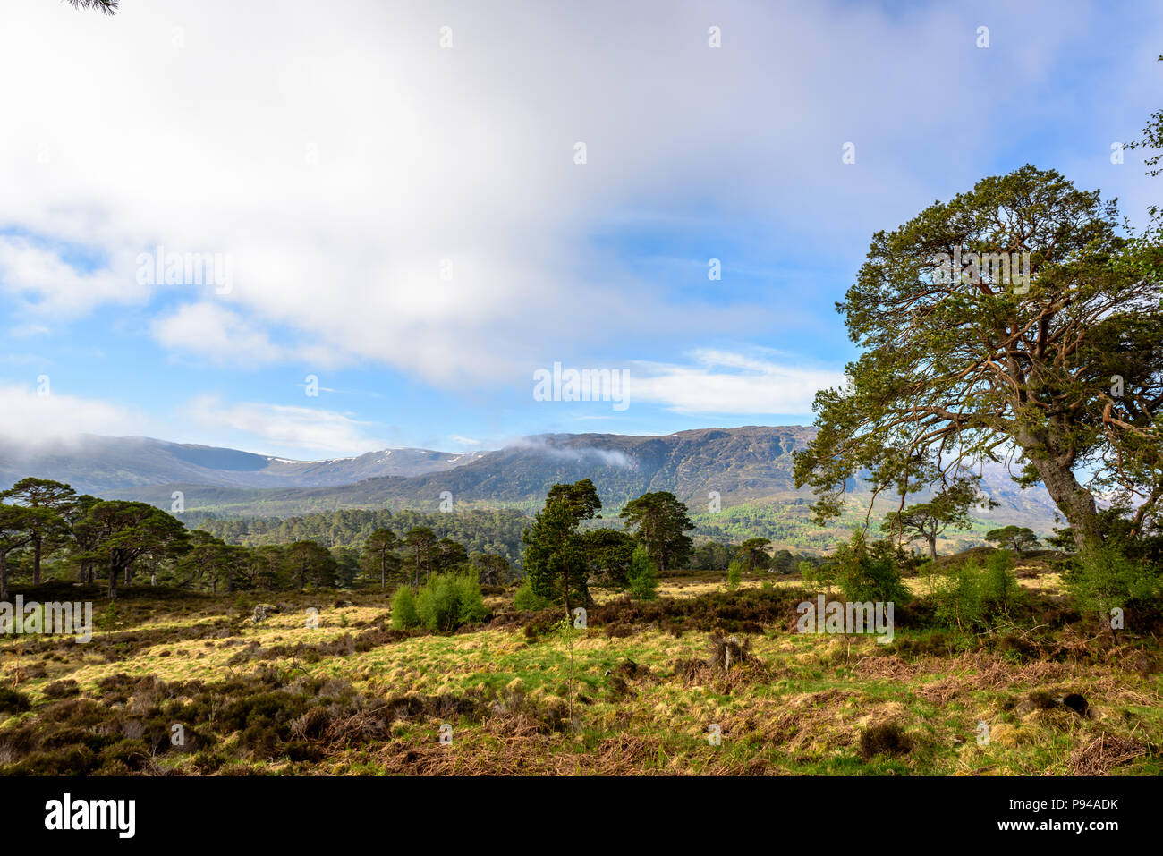 Scottish landscape. mountains and beautiful sky above Scotland Stock ...